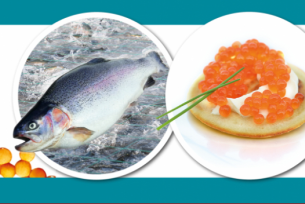 Danish products - Food From Denmark